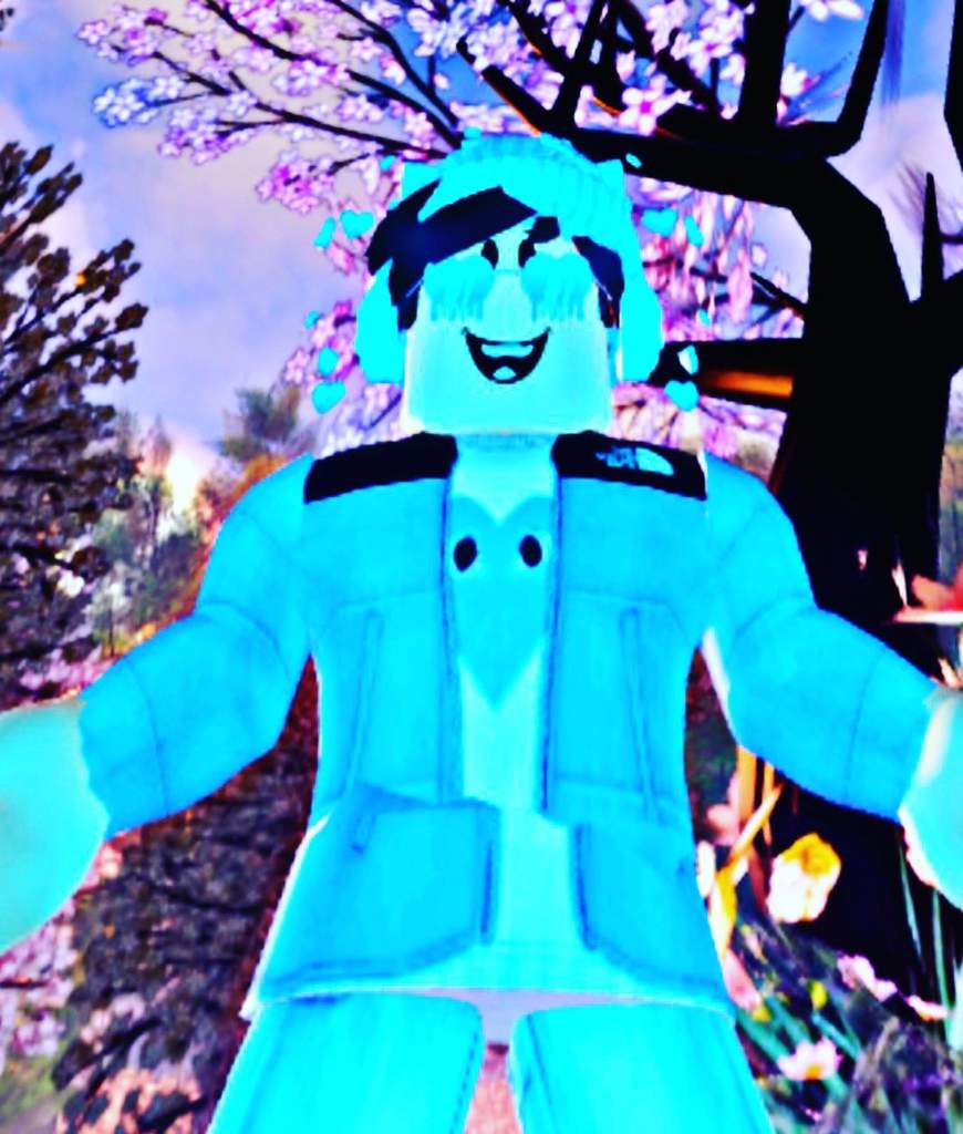 ๐blue Heart Photos๐ Roblox Amino